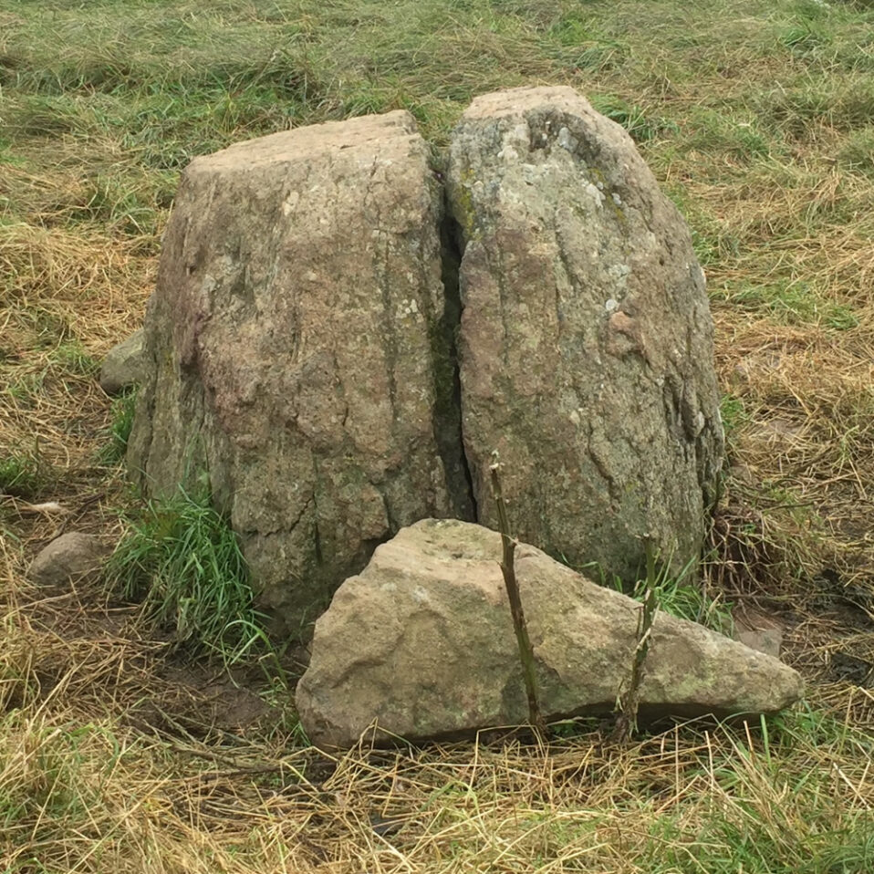 Avalonian Goddesses – The Sisterhood of Avalon